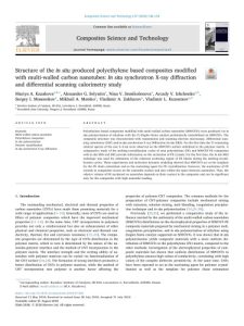 Structure of the in situ produced polyethylene based composites ...